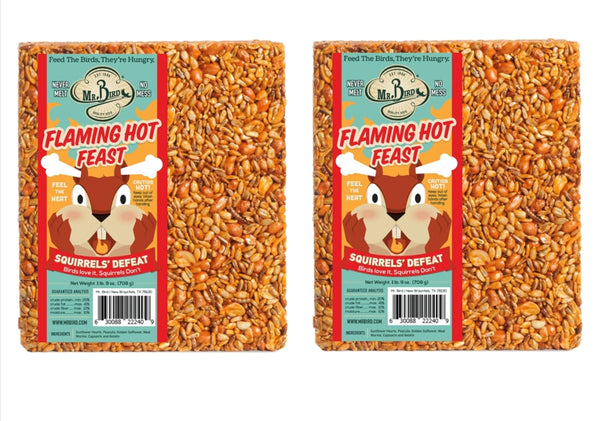 Mr. Bird's Flaming Hot Feast Large Wild Bird Seed Block 1 lb. 9 oz. (1 ...