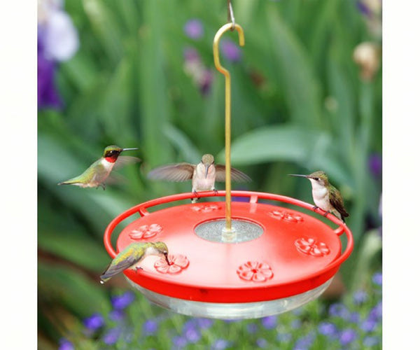 Aspects 441 Highview Excel Bird Feeder - CJS Distributing