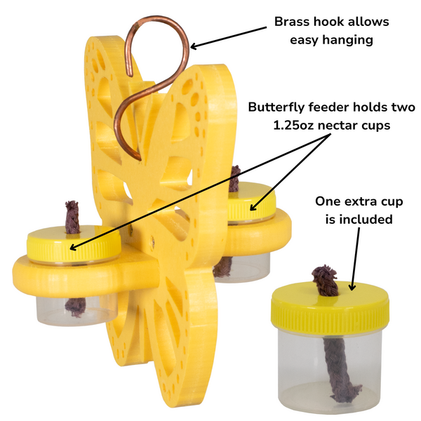 Butterfly Feeder with Double Nectar Dots - CJS Distributing