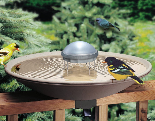 Allied Precision Aurora Water Wiggler Bird Bath Agitator with Color Ch ...